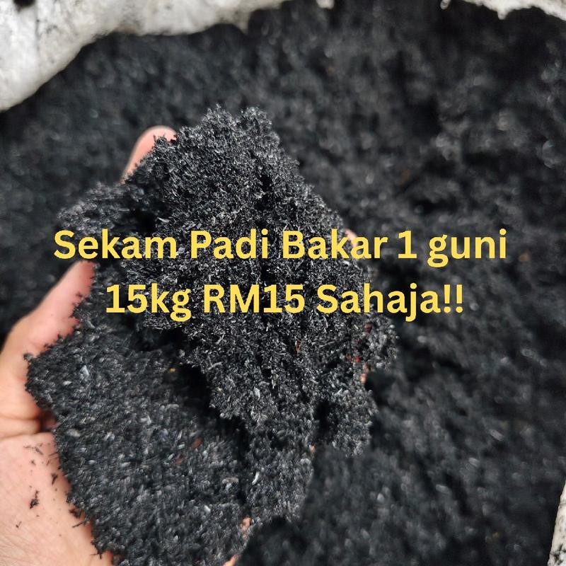 Sekam Padi Bakar 1 guni @ 15kg RM15 - TikTok Shop Malaysia