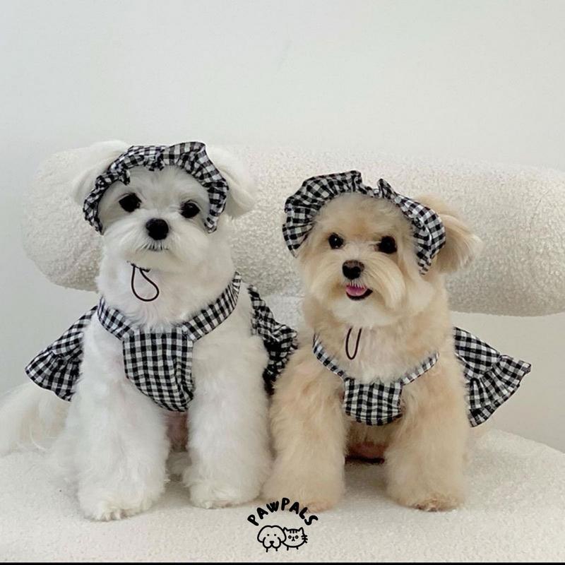Saint & Ivy Shirt Set - Baju Anjing Kucing Dress Tank Top Topi - Shop ...