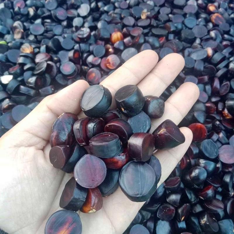 Jolang jaling kabau kupas 1 kg - Shop | Tokopedia