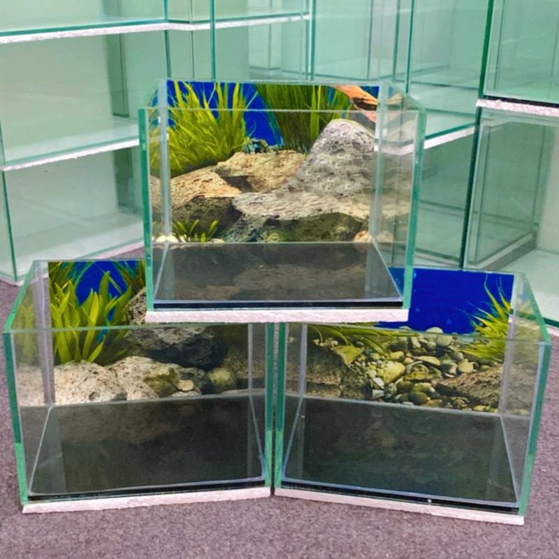 Aquarium mini ukur 20x15x15/aquarium cupang/soliter cupang/aquascape ...
