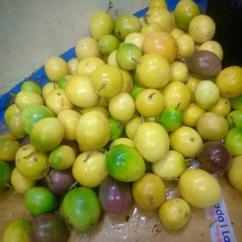 buah markisa kuning segarr 1 kg Frozen - Shop | Tokopedia