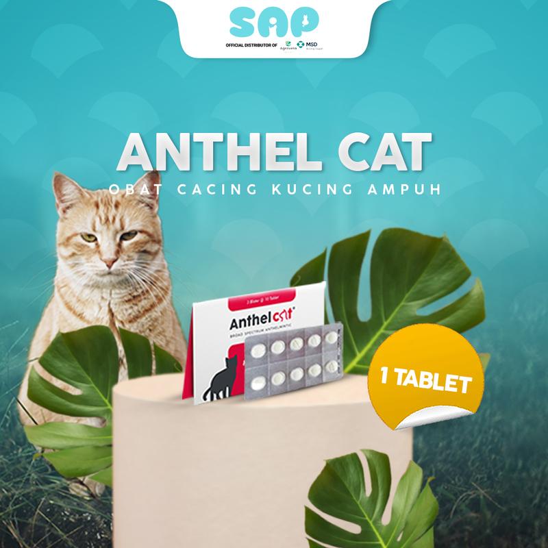 Anthel Cat Obat Cacing Kucing Ecer 1 Tablet - Shop | Tokopedia