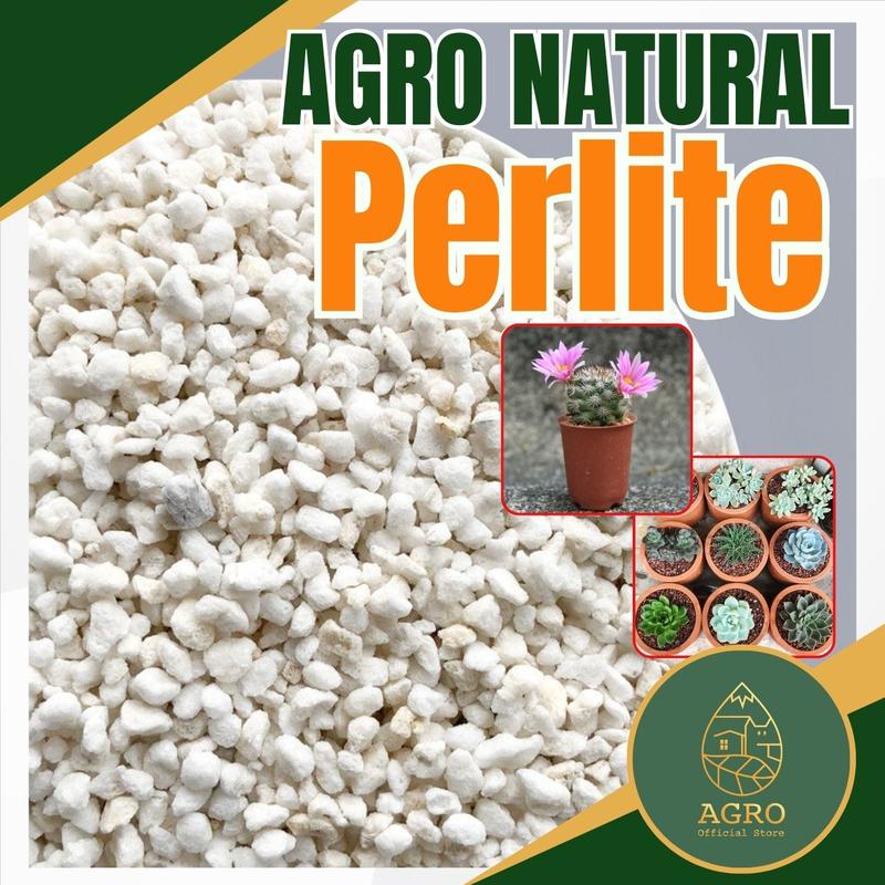 Expanded Perlite 3-6mm Or 4-8mm For Cactus & Succulents Planting ...