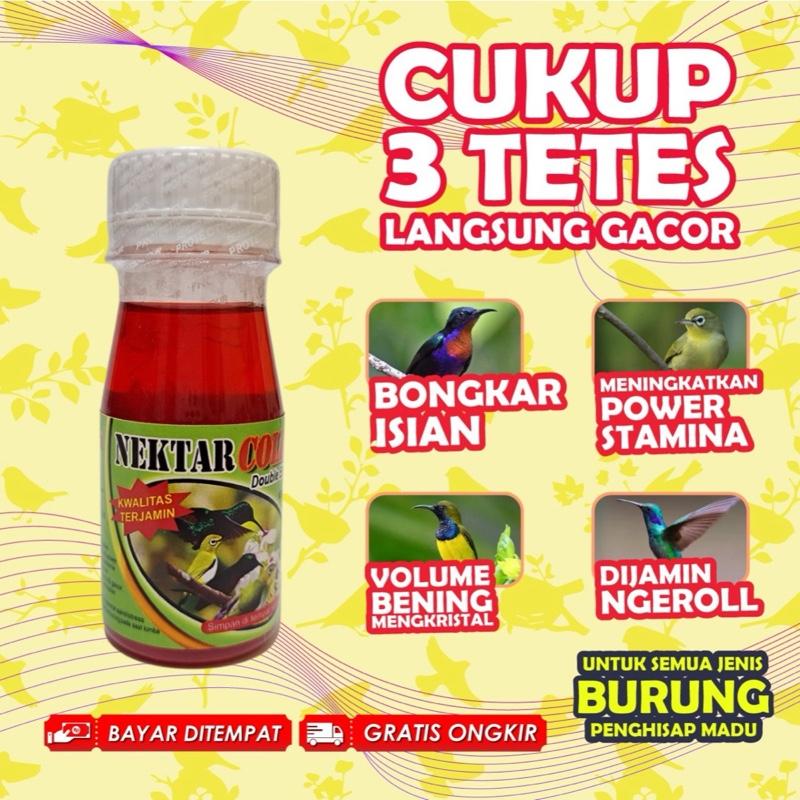 Nektar Colibry 60ml Pakan Harian Burung Conin Sogon Pleci Kolibri ...