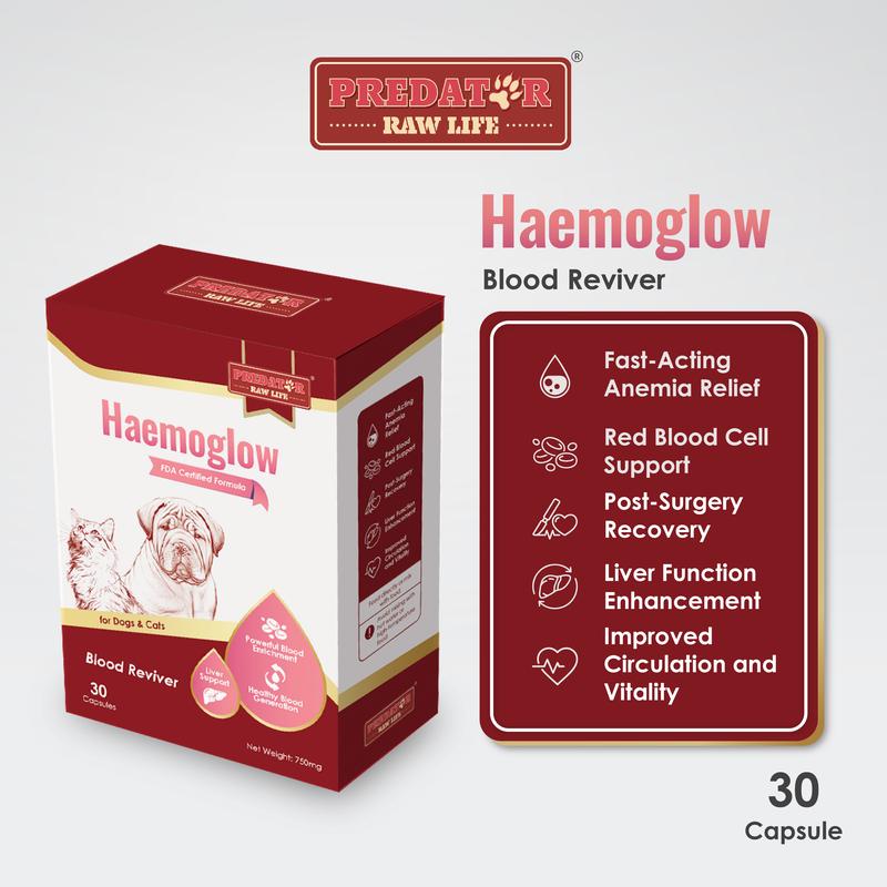 Predator Raw Life Blood Supplement Iron Premium Dog Cat Live - TikTok ...