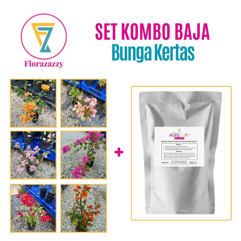 FLORAZAZZY Set Kombo Pokok dan Baja Bunga Kertas | Pakej Lengkap ...