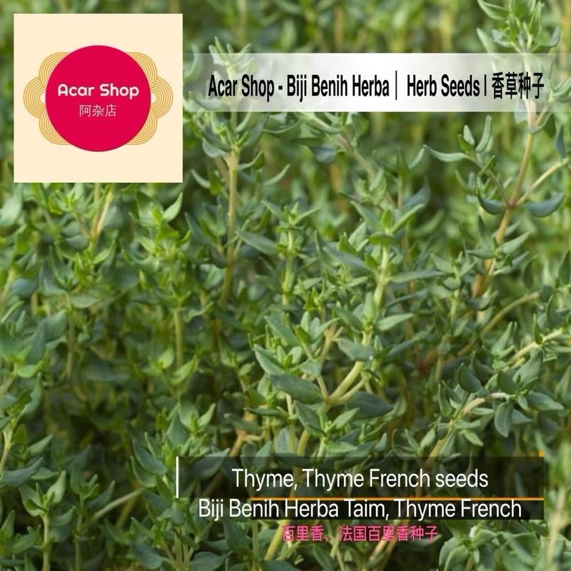 Thyme, Thyme French Seeds | Biji Benih Taim French Acar Shop - TikTok ...