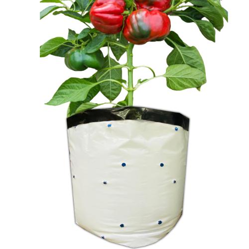 Polybag Putih Premium AGROPIN 40x40 Standar Green House 5pcs - Shop ...