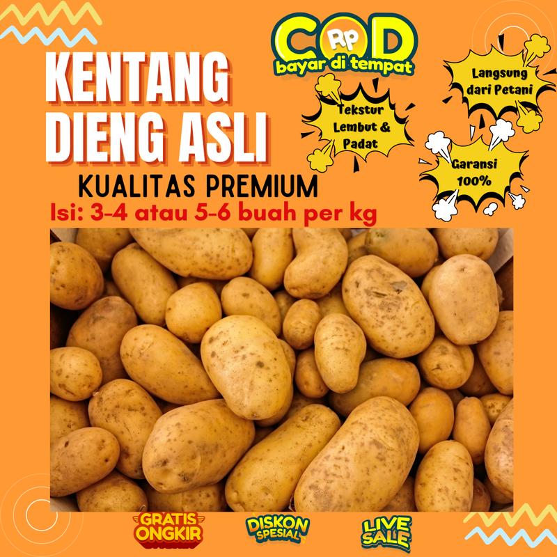 Kentang Dieng Premium Grade A 1 KG - Kualitas Premium Isi 3-4 atau 5-6 ...