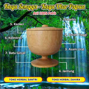 Pil Lancar Asi ekstrak daun katuk per strip - Shop | Tokopedia