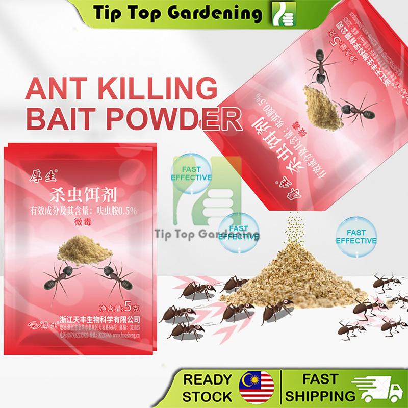 HOUSHENG Ant Killing Bait Powder 5g Cockroach Bait Insect Killer ...