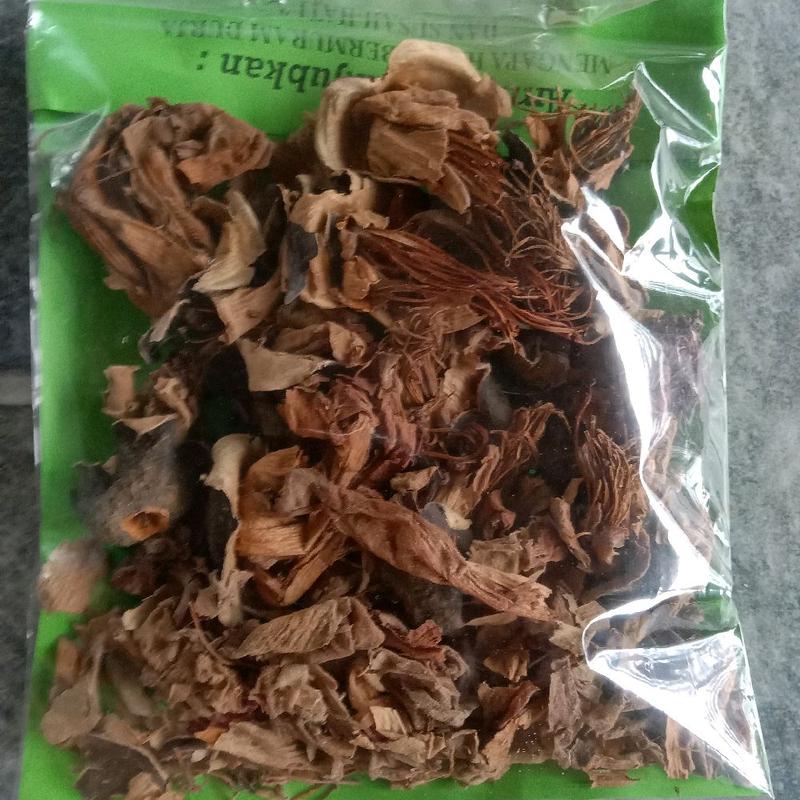 BUNGA MUKMIN / BUNGA RATU PARI Essential Badan Sakit - TikTok Shop Malaysia