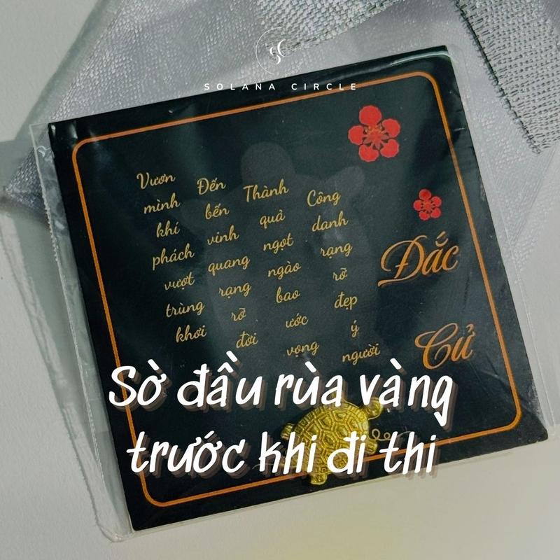 Rùa Vàng Bỏ Túi May Mắn Chiêu Đỗ Đạt - Solana Circle - TikTok Shop Vietnam