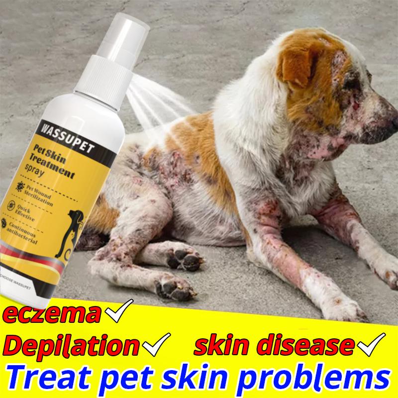 WASSUPET 100ml Pet Skin Treatment For Dogs dog spray skin garapata ...