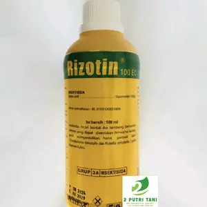 BENIH TERONG HIBRIDA F1 PRINCE 07 10gr - Shop | Tokopedia