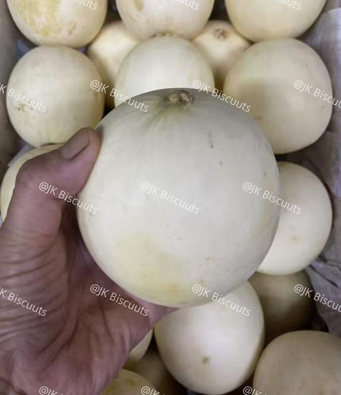 Mini Rock Melon ( Honey dew ) , Tembikai Susu Mini Segar da - TikTok ...