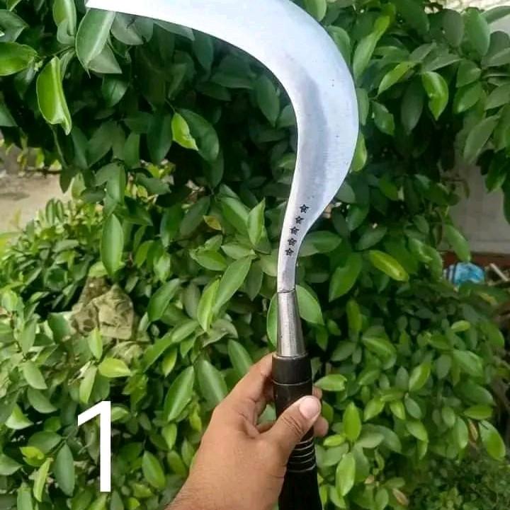 TERBARU pertanian perkebunan arit atau sabit - Shop | Tokopedia