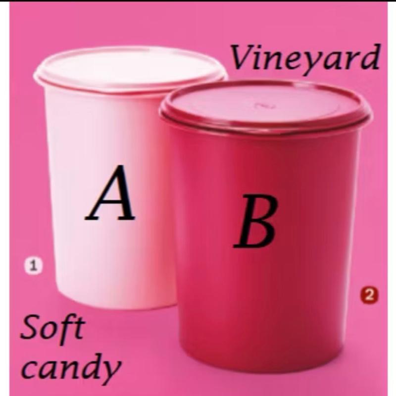 Tall Canister | 1pc | 10.0L *Tupperware Brands Container / Tong ...