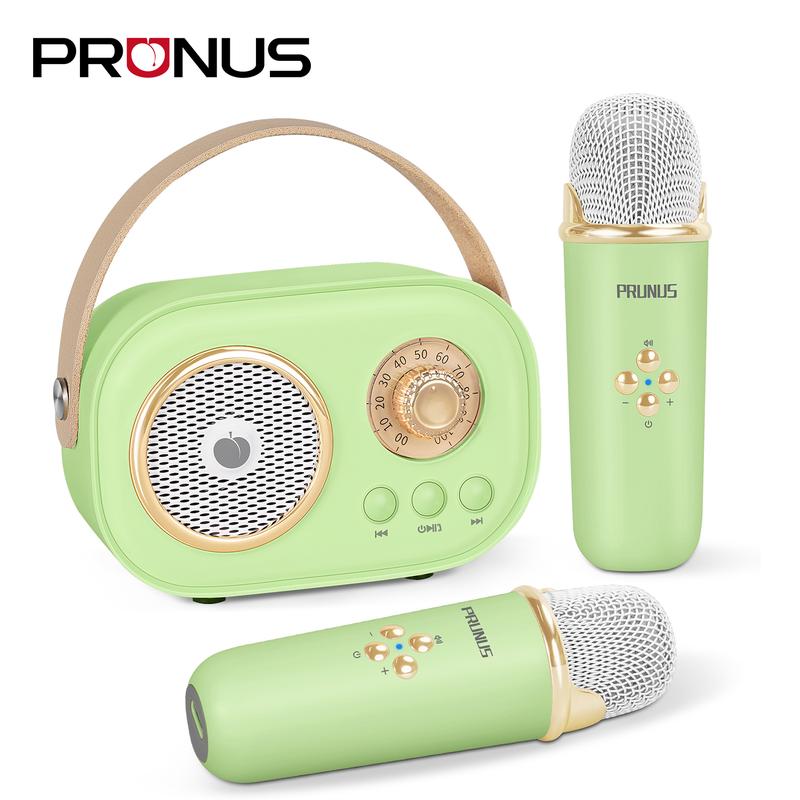 PRUNUS C20 Mini Karaoke Machine Bluetooth with Wireless Mic 6 Sound ...
