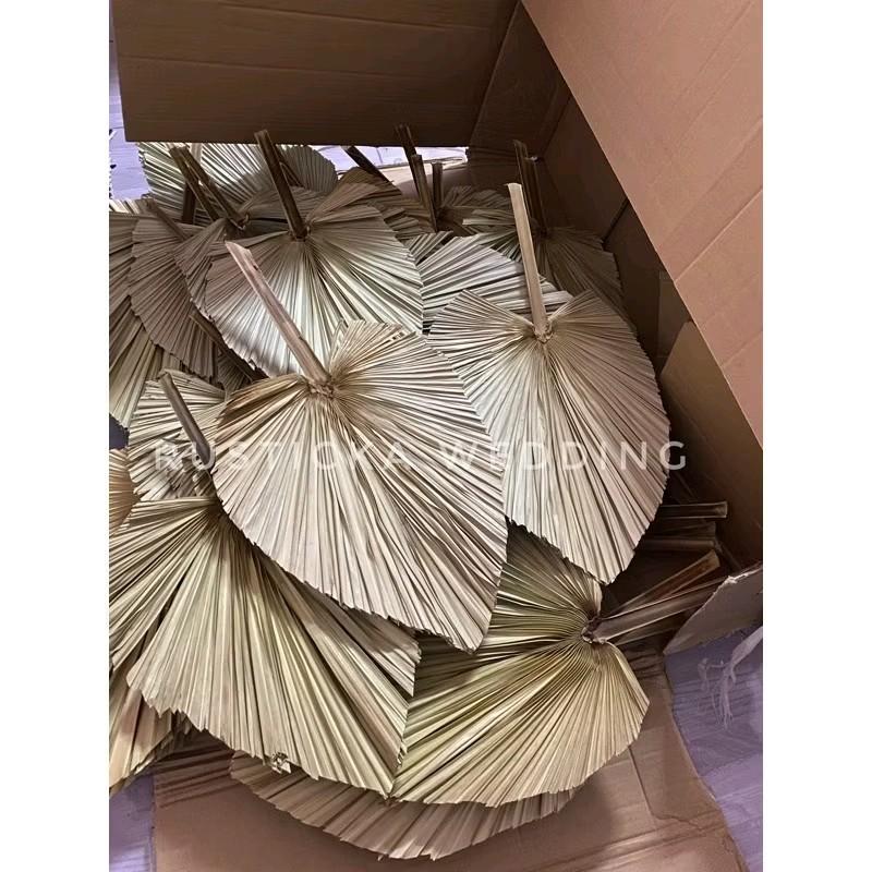 Daun Kipas Kering Dry Palm Palmetto Palma Leaves Artificial Flower ...