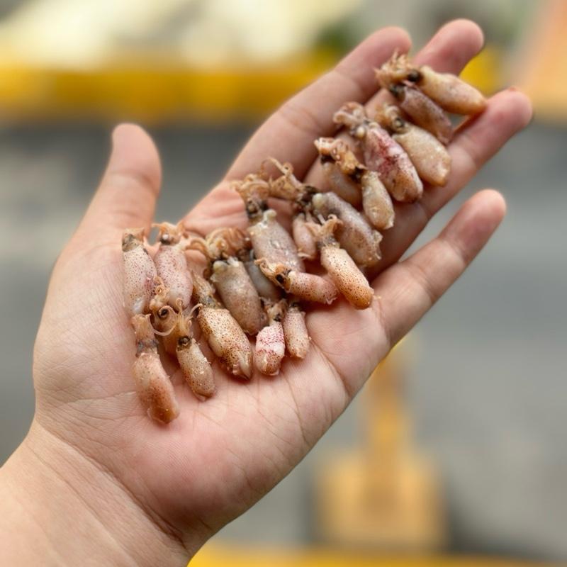 1kg Baby Cumi Premium Mentah - Shop | Tokopedia