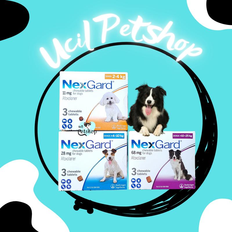 Nexgard Obat Kutu Anjing Demodex Scabies Tablet Kunyah ORI 100% - Shop ...