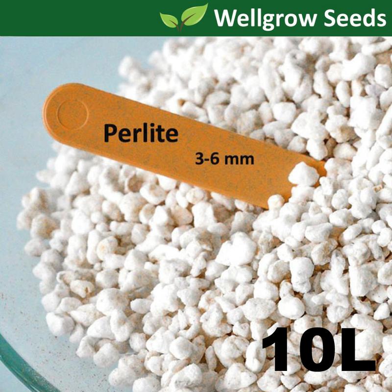 10L Perlite 3-6mm For Cactus & Succulents (Natural Expanded - TikTok ...