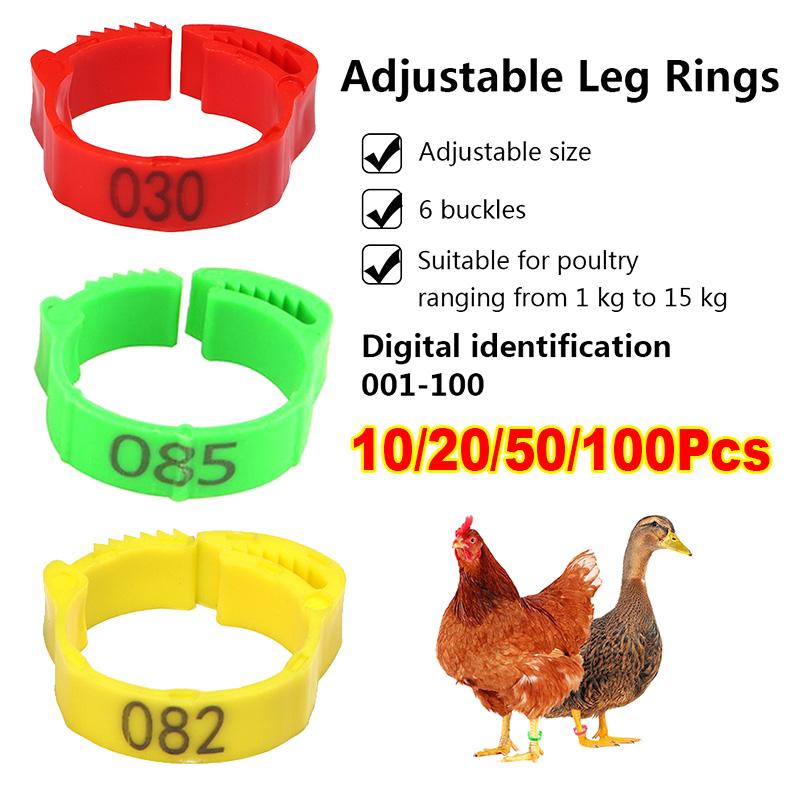 50/100Pcs Chicken leg ring Adjustable Leg band Poultry feet tag ...