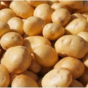 Kentang Fresh Super Berkualitas Premium 500gr dan 1kg Potato - Shop ...
