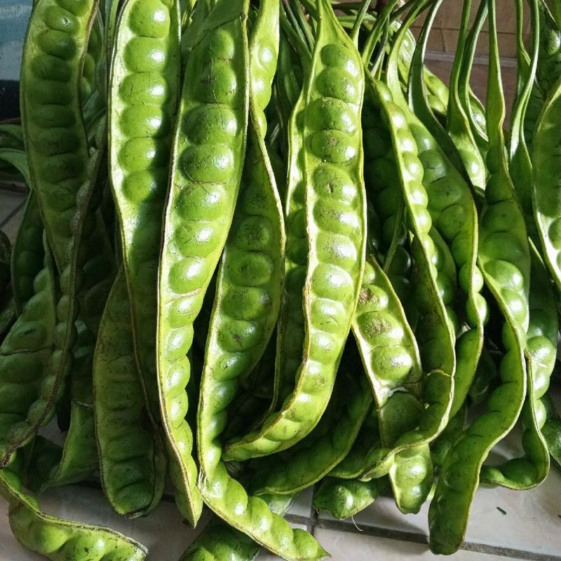 Pete Pendek sayur Bahan masakan - Shop | Tokopedia
