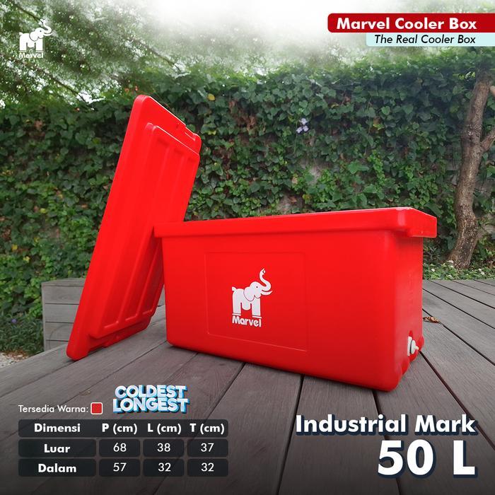 Jual Box Ice Coolbox 50 L Cooler cool box boks es kotak pendingin - 50 ...