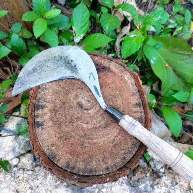 Arit Rumput Baja Isen - Produk dengan Deskripsi Given dari Gambar - Shop | Tokopedia