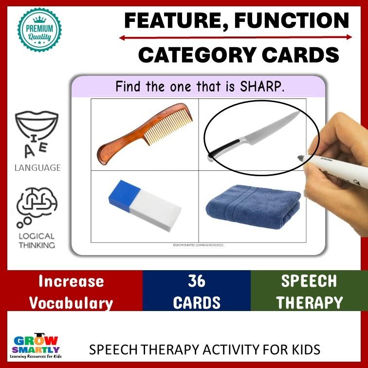 *NEW* Feature Function Category Task Card Speech Therapy Activity ...