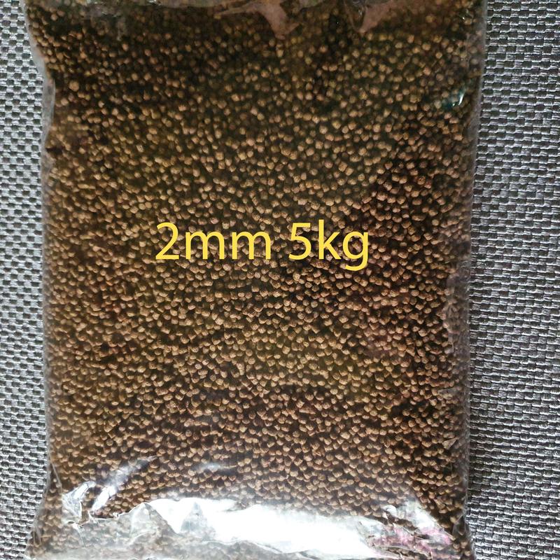 DINDINGS 5KG Pallet 920 Fishing Baits | Makanan Ikan | Fish Food ...