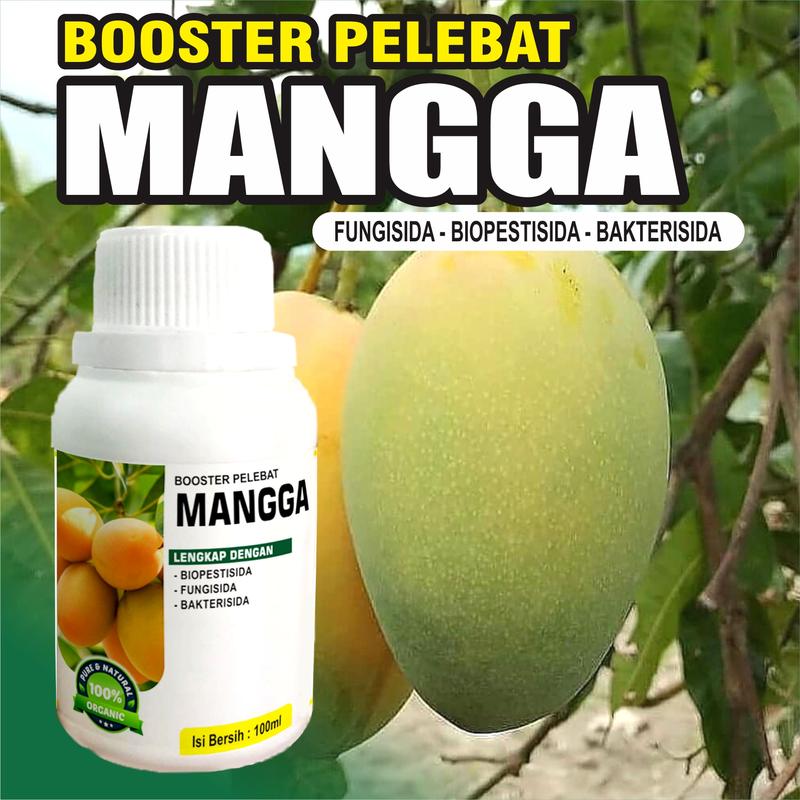 Pupuk Booster Mangga Pelebat Organik Cepat Berbuah Lebat 100ml Cocok ...