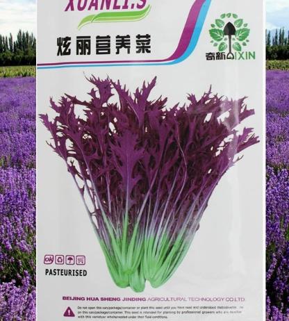 Purple lettuce seeds raw rapeseed seeds vegetable seeds wholesale ...