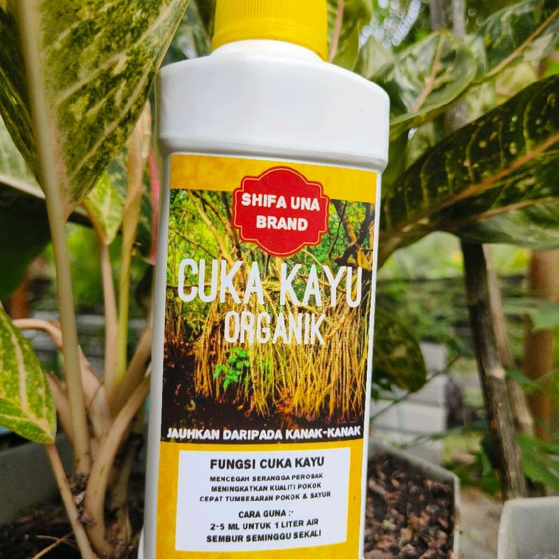 Cuka Kayu Organik 1 Liter Untuk Semburan Serangga kulat Bena - TikTok ...