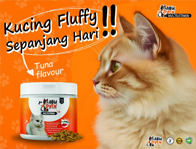 [[SET]] MULTIVITAMIN KUCING KIBBLE UNTUK TEMBAM DAN MONTEL - TikTok ...