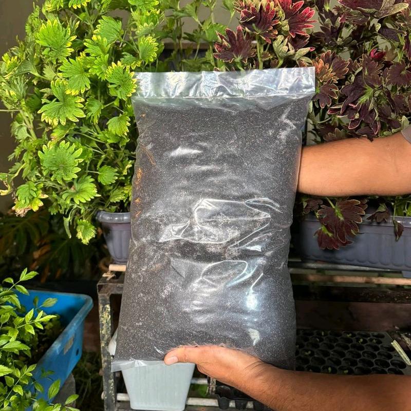 MEDIA CAMPURAN [10L] Cocopeat + Sekam Bakar + Baja Gedik + Larutan ...