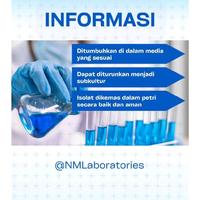 Jual Kultur Bakteri Pseudomonas aeruginosa ATCC 27853 – Siap Pakai ...