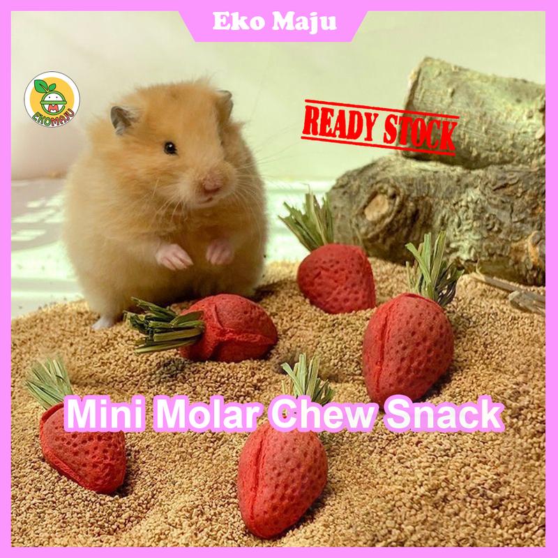 Mini Molar Chew Snack Hamster Rabbit Guinea Pig Chinchilla Treat ...