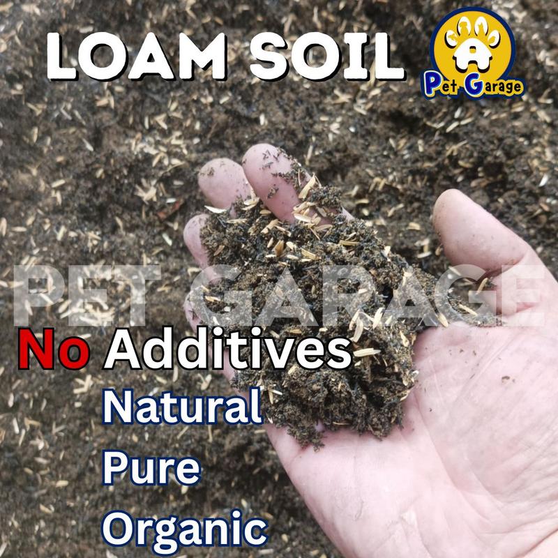 500g 1kg Loam Soil Premium Natural Organic Soil Gardening Farming ...