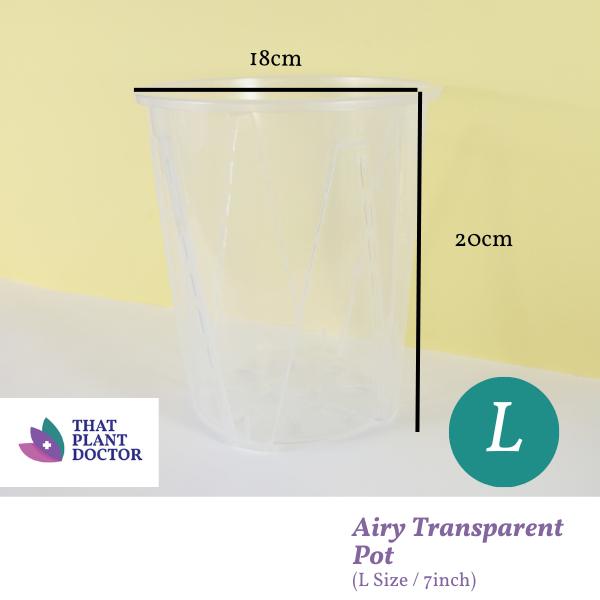 Airy Transparent Pot (L Size / 7inch) (Diamenter 18cm x Height - TikTok ...