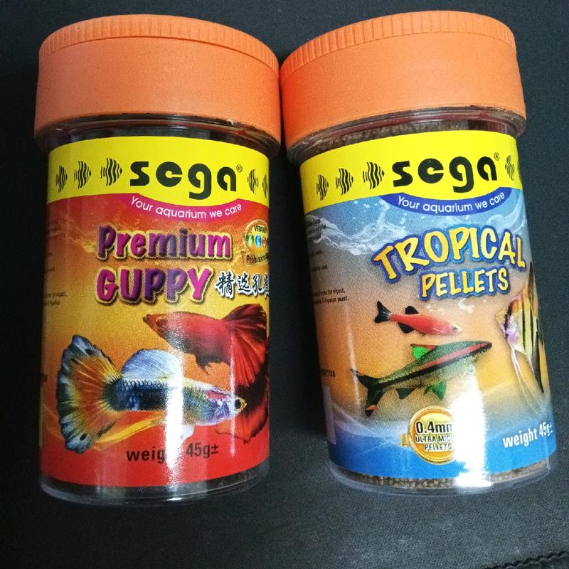 Sega Premium Tropical Fish Betta, Guppy Pellet - TikTok Shop Malaysia
