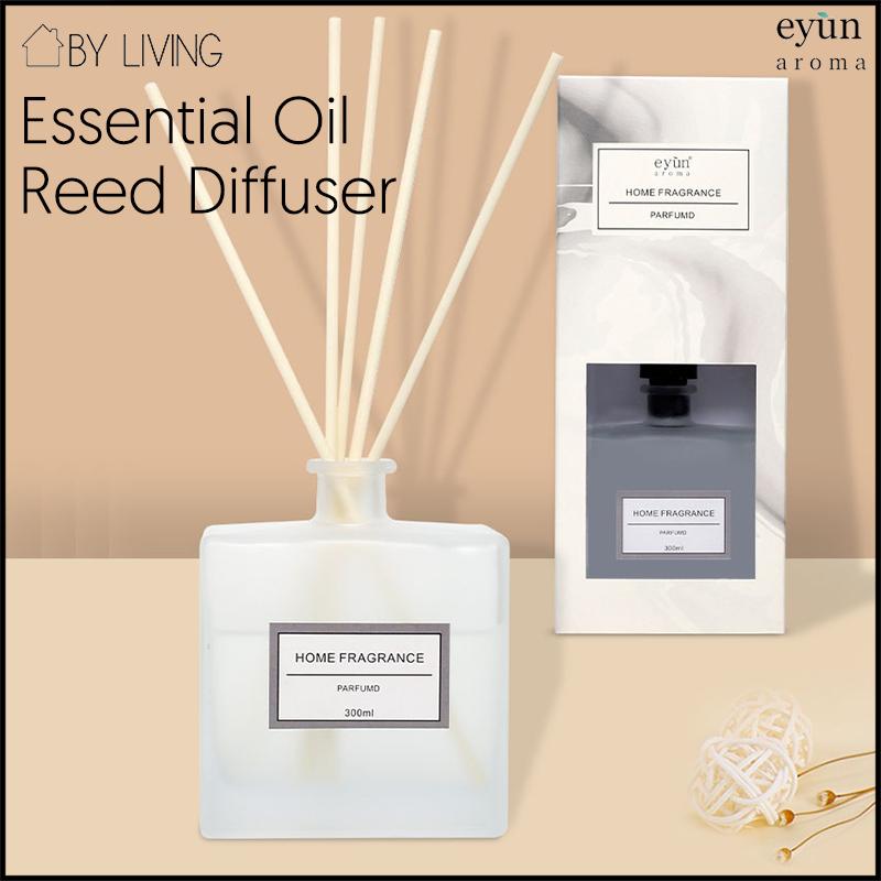 100ML ESSENTIAL OIL REED DIFFUSER - TikTok Shop Singapore