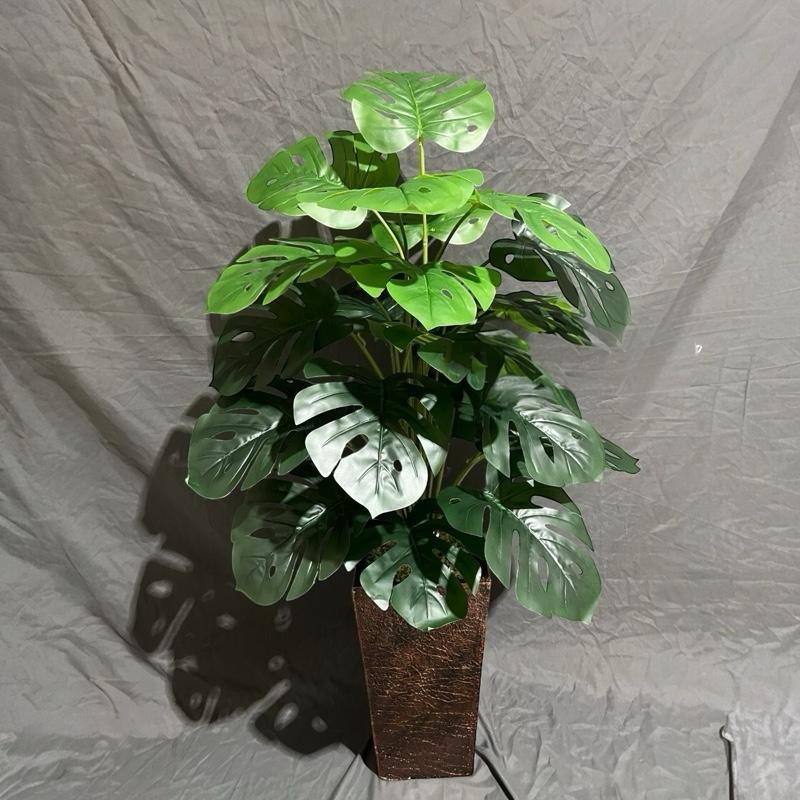 Monstera hijau polos d24 artificial pot kayu - Shop | Tokopedia