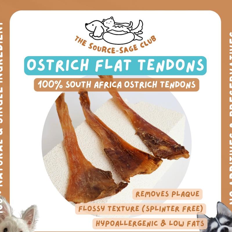Air Dried Ostrich Pressed Flat Tendon (single ingredient dog - TikTok ...