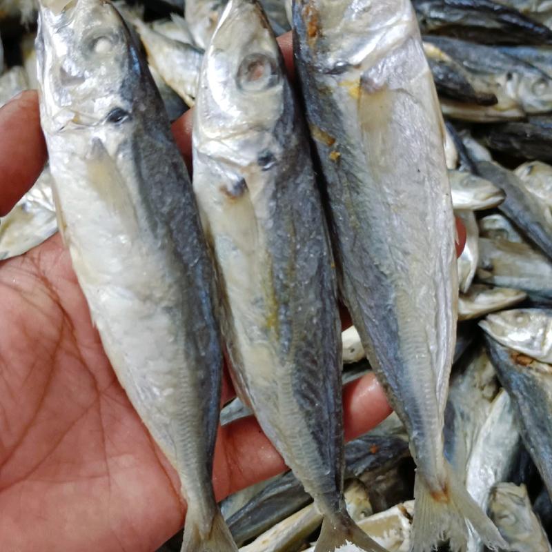 Ikan Kering dan Masin 400gr Siap Stok - Makanan - Food - TikTok Shop ...