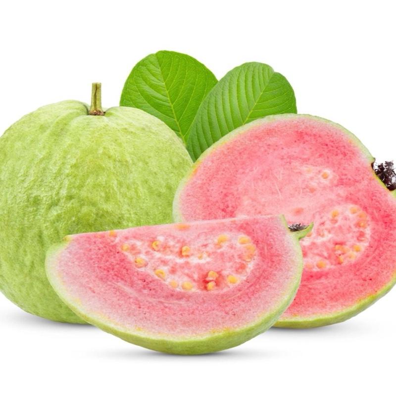 Buah Jambu Batu Lohan / Jambu Batu Pink 1 kg - TikTok Shop Malaysia