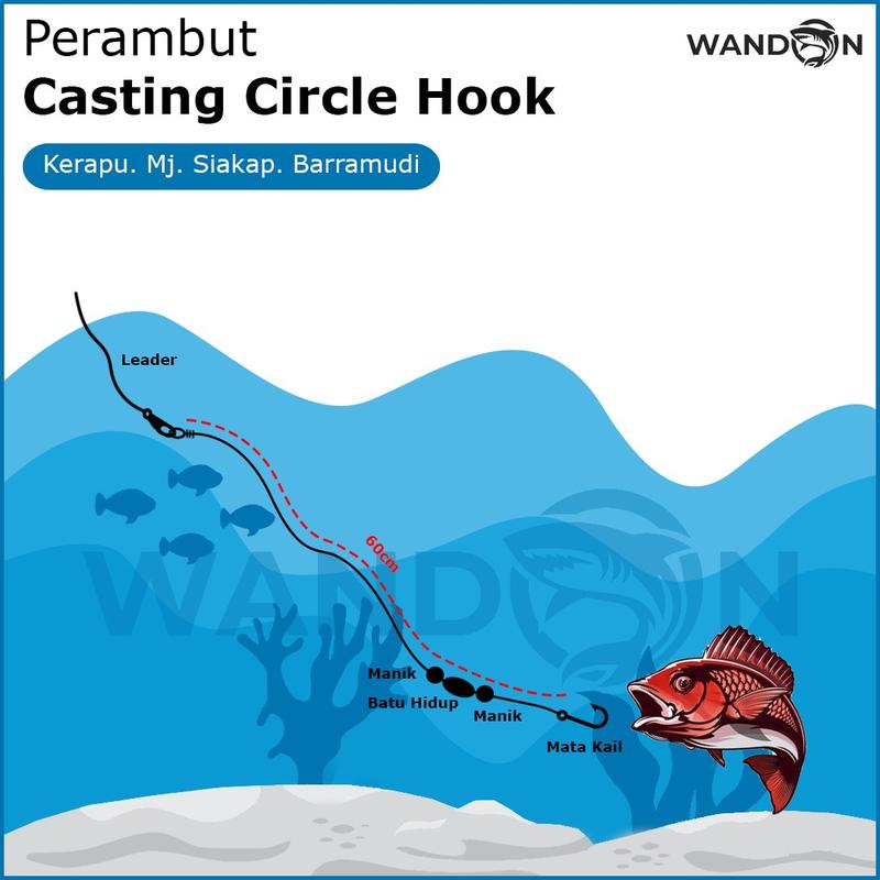 CAST-C Perambut Casting Circle Hook Udang Hidup Kolam Siakap - TikTok ...